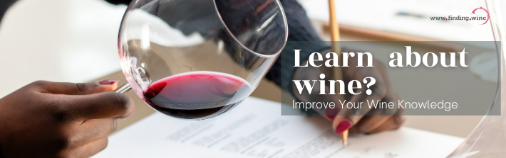 How to learn more about wine? – finding.wine
