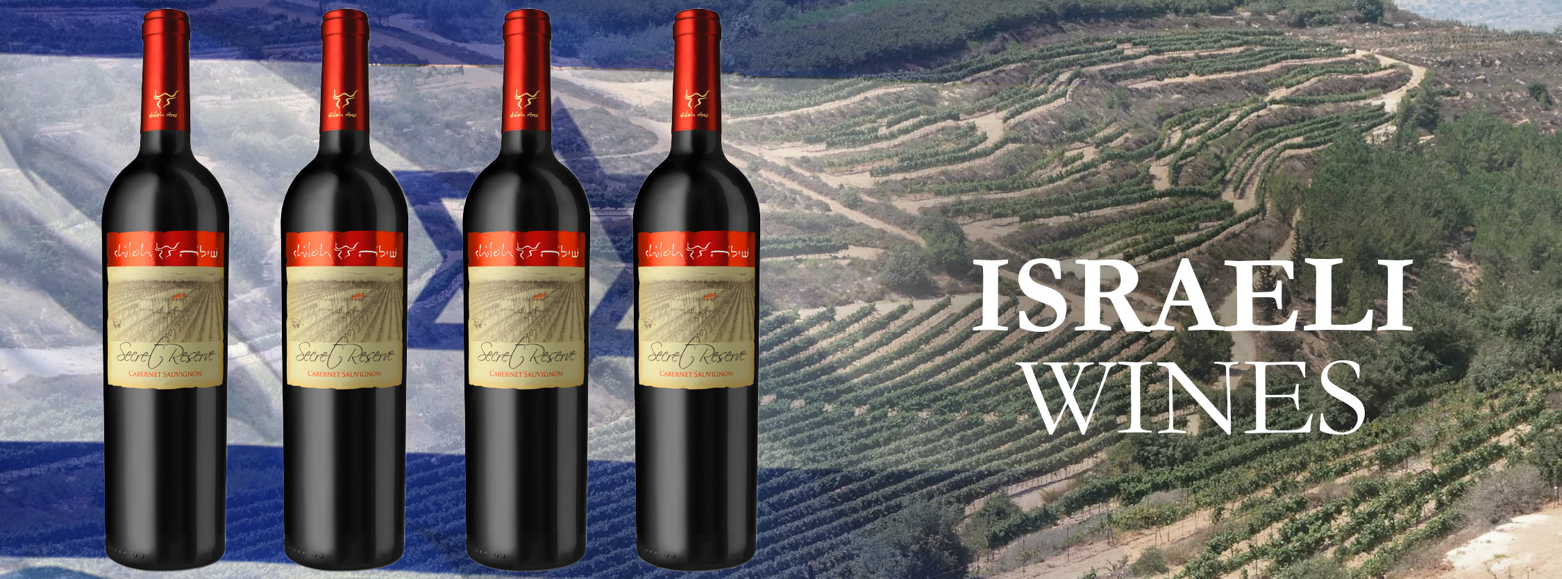 Buy Israeli Wines Online: Explore the Essence of Israel – finding.wine