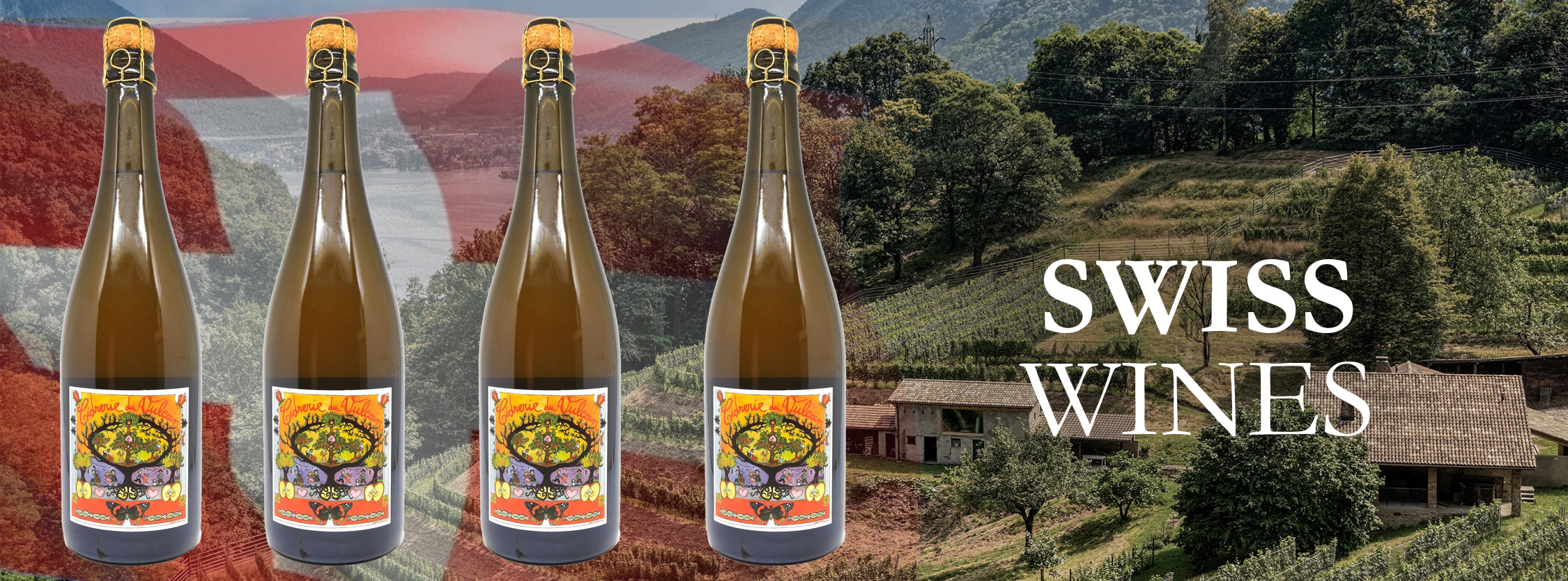 Discover Swiss Wine Treasures: Explore the Richness of Switzerland's ...