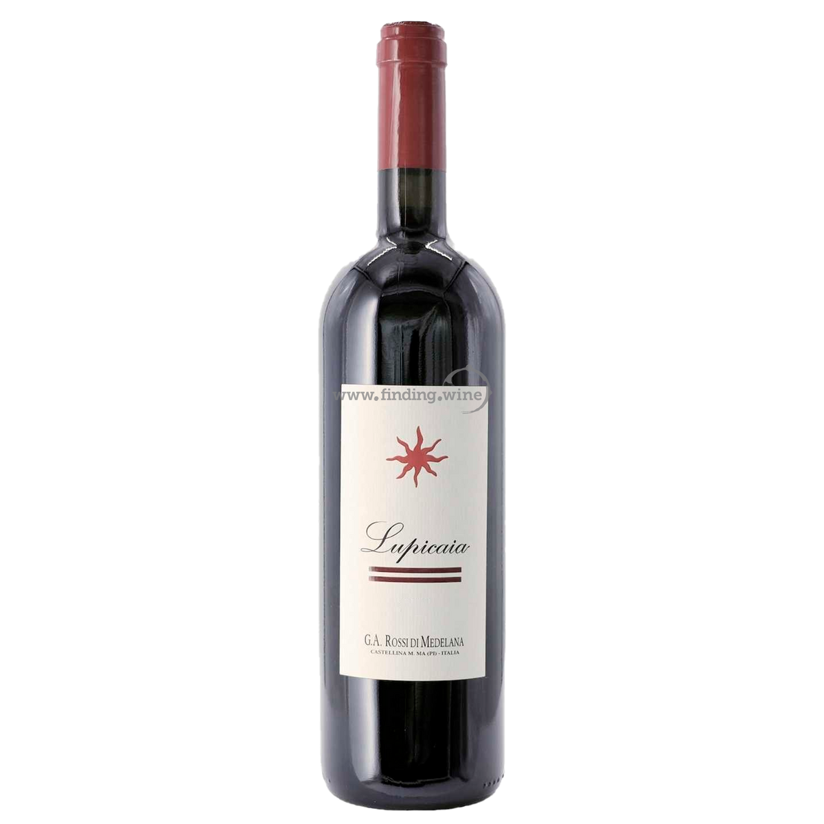 Castello del Terriccio - 2014 - Lupicaia - 750 ml. - Tuscany – finding.wine