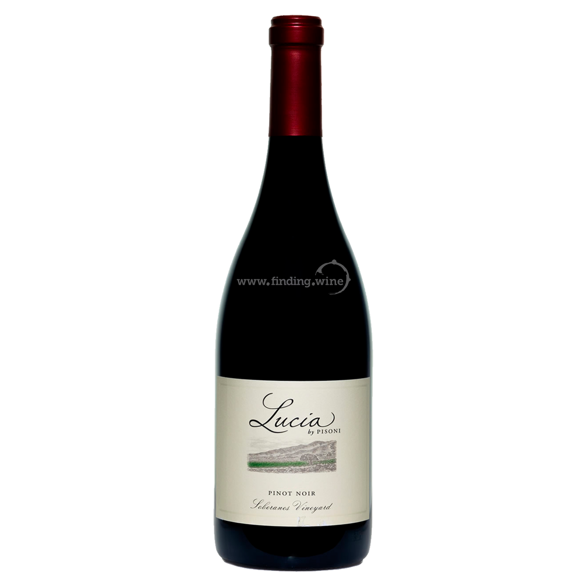 Lucia Vineyards - 2021 - Pinot Noir Soberanes Vyd - 750 ml. – finding.wine