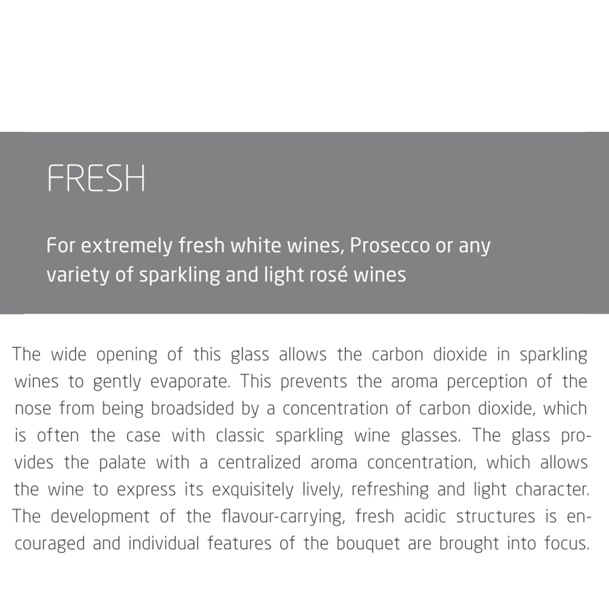 Zieher - Glass - Fresh Glass (2 pack) - Glass - – finding.wine